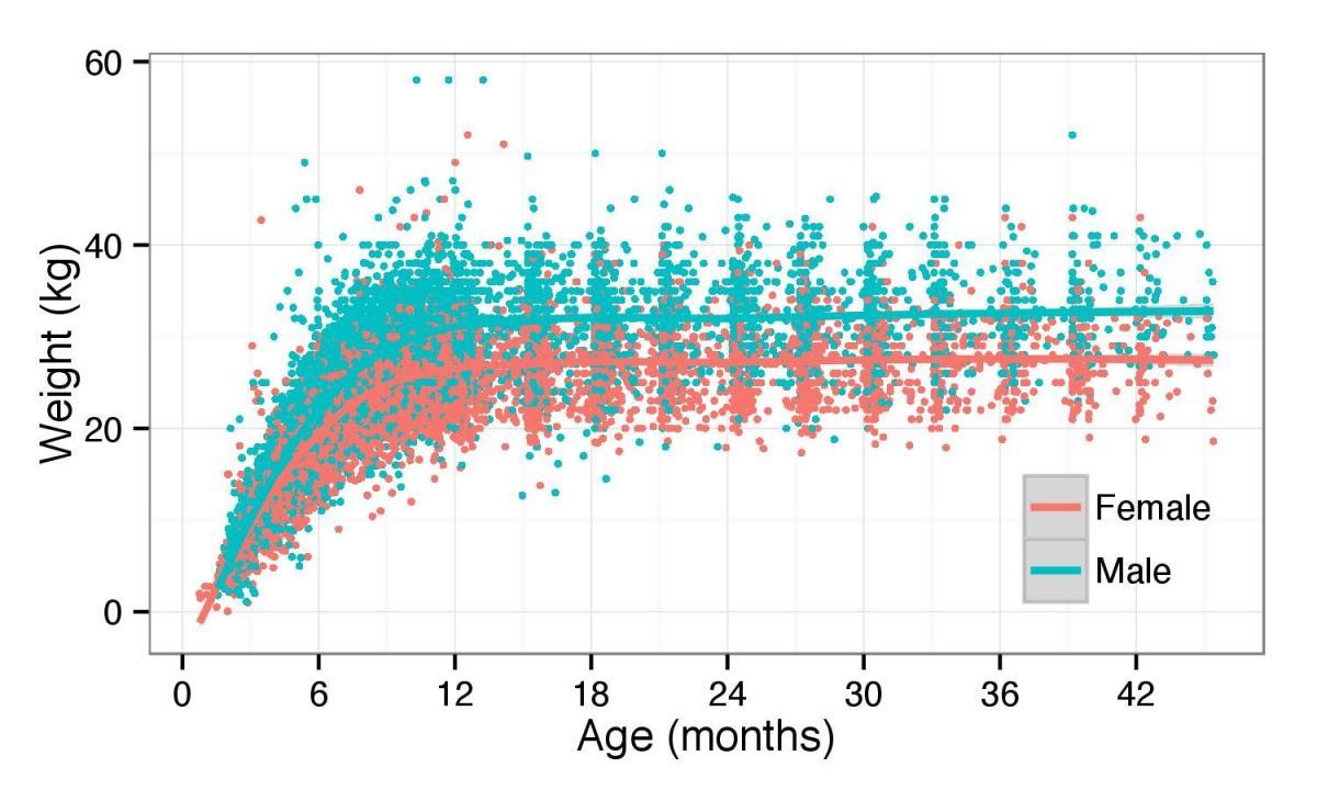 The Study so far | Dogslife