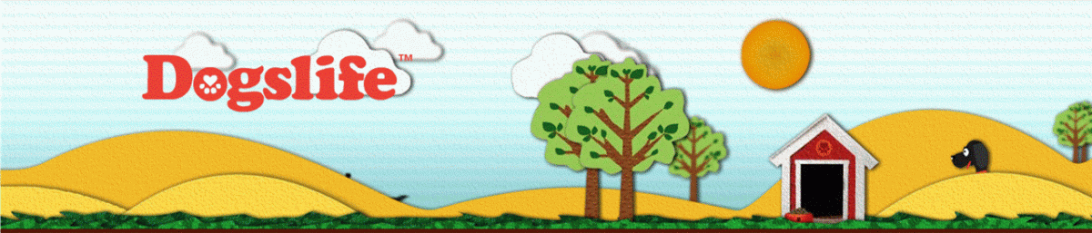 January 2018 Newsletter | Dogslife